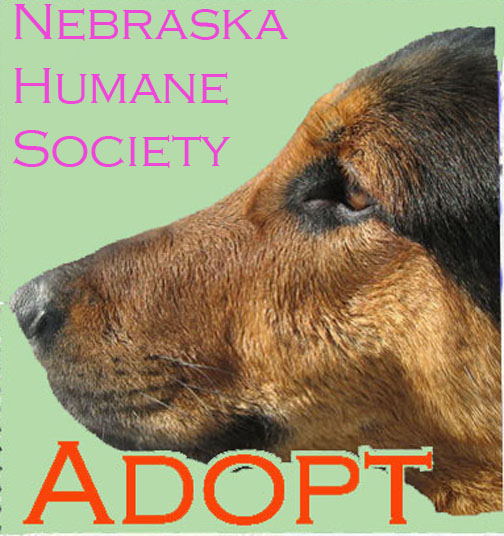Ad for Nebraska Humane Society – Lauren Dana Fine Art